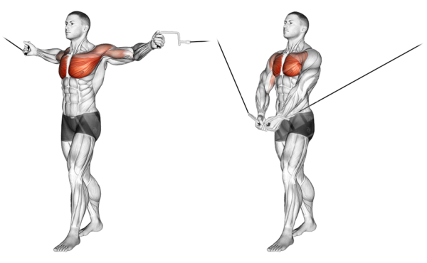 Striated Pecs Workout - Meanmuscles
