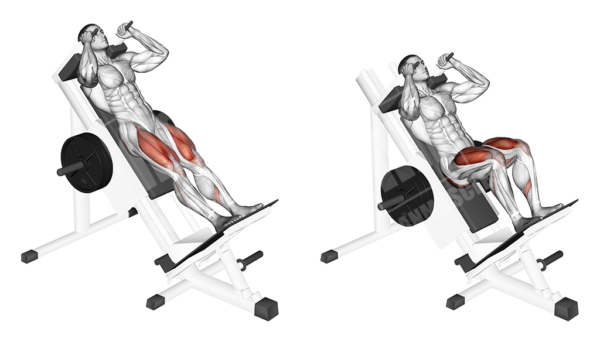 Tree Trunk Legs Workouts - Meanmuscles