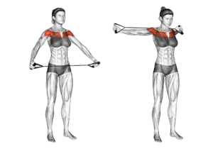 No-Press Shoulder Workout - Meanmuscles