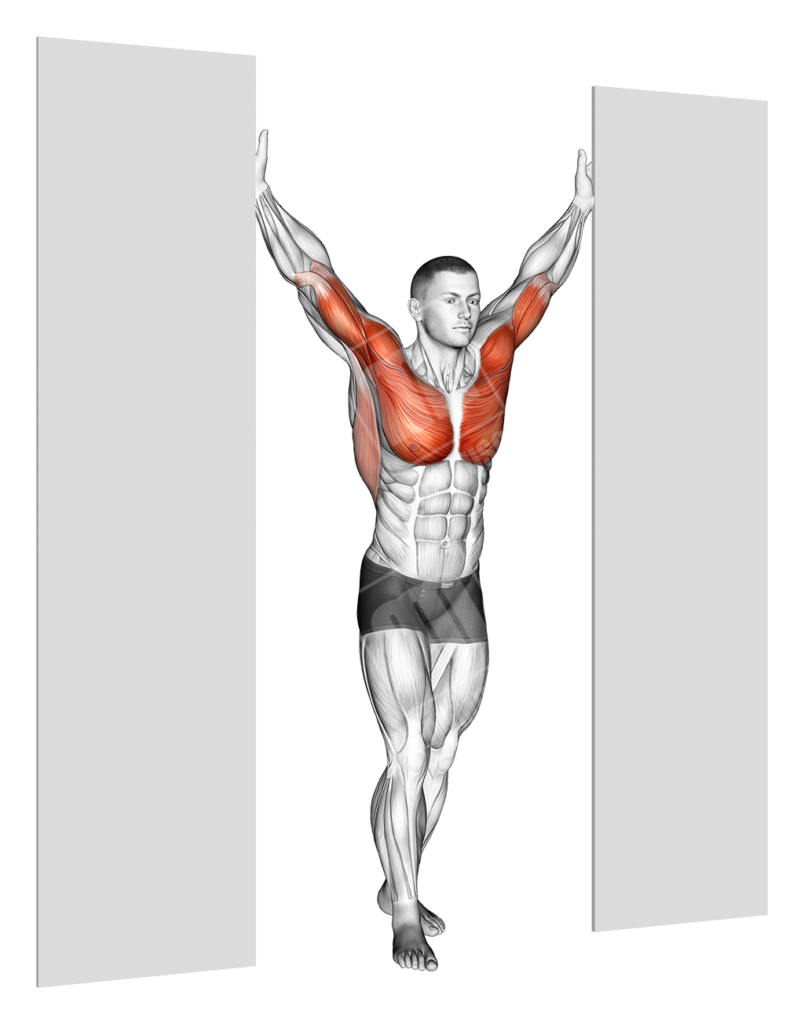 No-Press Shoulder Workout - Meanmuscles