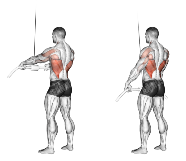 Christmas Tree Back Workout - Meanmuscles